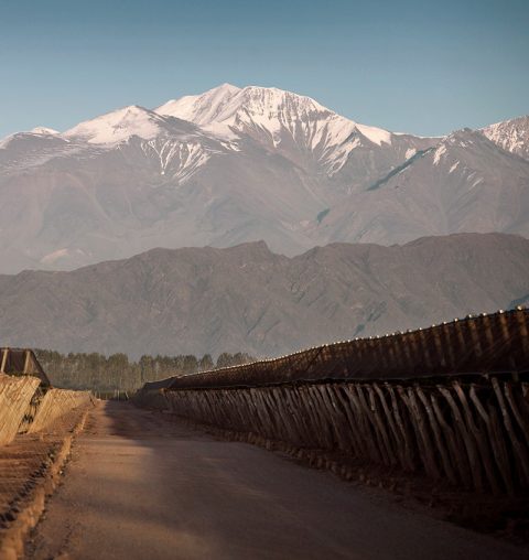 Colección de los Andes Merlot - Norton